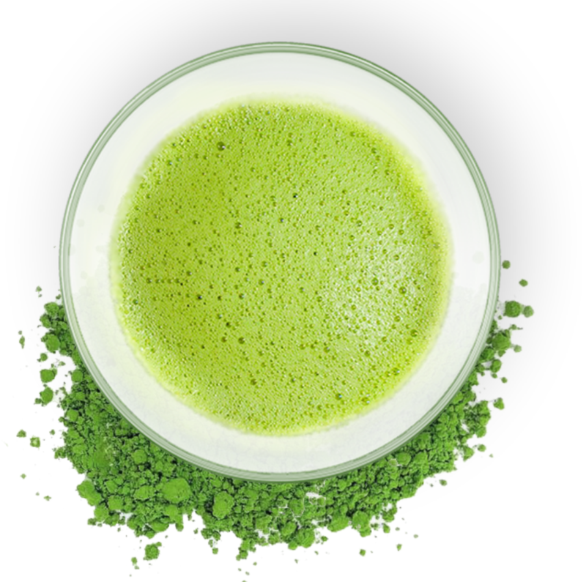 Matcha - a Superfood | Eco-Prima Tea